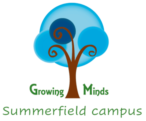 Growing Minds - Nurturing Young Learners in Cape Town